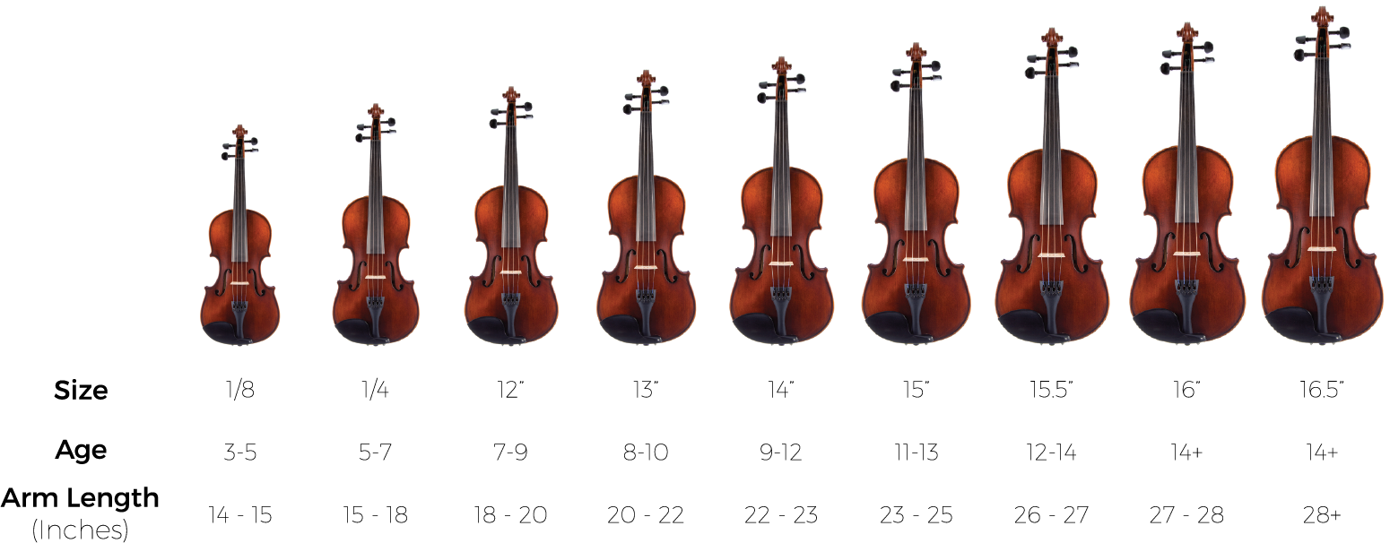 How Much Does A Violin Cost HowMuchIsIt